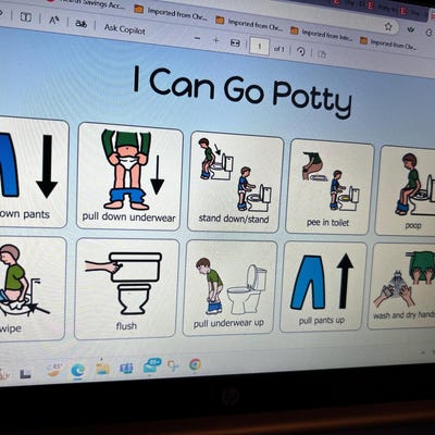 Visual Bathroom Potty Training Toilet for Boys Autism Sit/stand ...