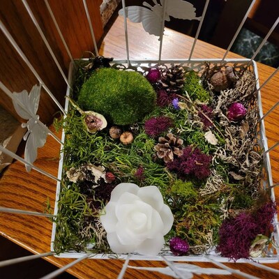 Fairy Shelving Unit Fairy House, Fairy Storage, Fairy Furniture ...