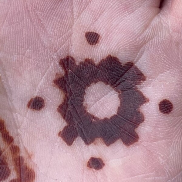 Henna Stencil Kit - Etsy
