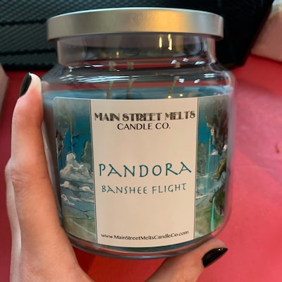 PANDORA BANSHEE FLIGHT 18oz Triple Wick Tumbler Jar Disney Inspired ...