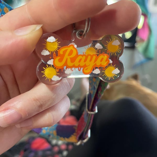 Sunshine Resin Dog Tag: Custom Pet ID, Summer Puppy Gift, Frankie Tags ...