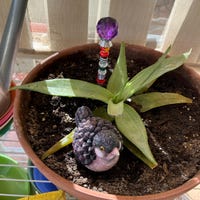 14 Inch Jeweled Garden Stake, Planter Stake, Round Prism Garden Stick ...