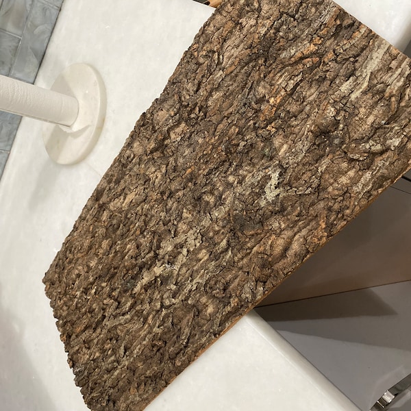 Cork Oak Bark Slab: Natural Tree Trunk Decor (24x12x0.5 Inch) Reptile ...