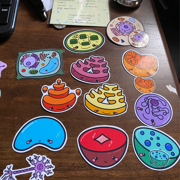 Cute Cells and Organelles Sticker Set - Etsy