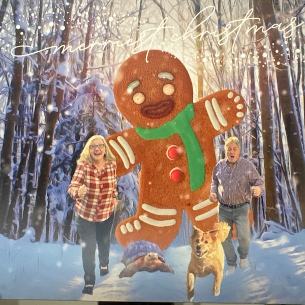 Digital Delivery, Funny Gingerbread Man Chase Digital Christmas Card ...