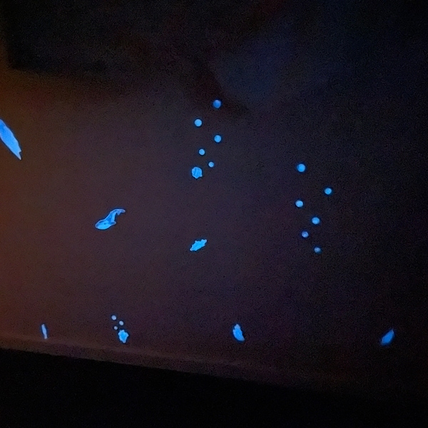 Glow in the Dark Wall Stickers Ocean Themed Kids Room Decor Sea Animals ...