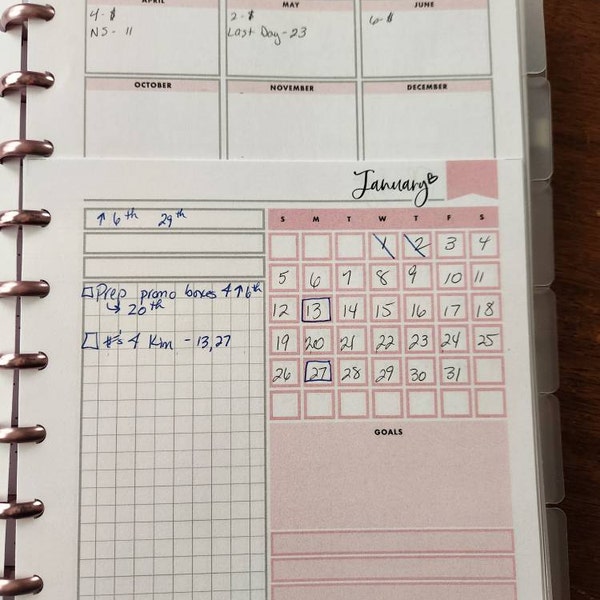 Planify Pro, Classic HP, Mood Tracker - Etsy