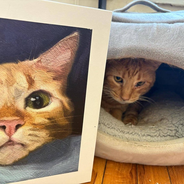 Adopt658*original Oil Painting of an Orange Cat With Blue Eyes*orange ...