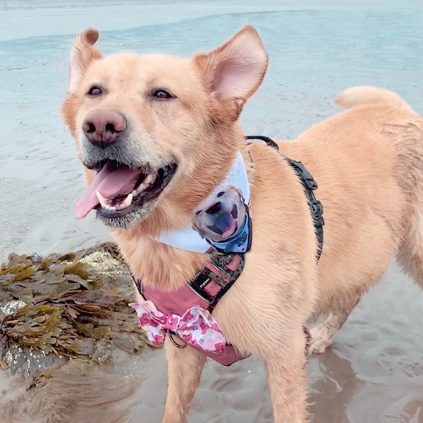 Body Pump Tshirt, Training Shirt Woman, Body Pump Tank Top, Gift for ...