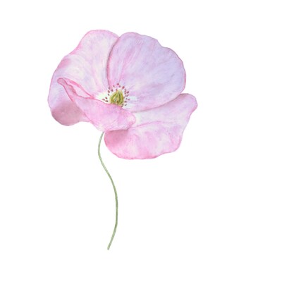 Owl Painting Original Oil Art for Home Decor Owls Painting by Sara Bach ...