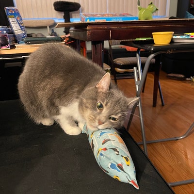 Cat Notepads Set of 4, Cute Cat Stationery Set, Notepad for Teacher ...