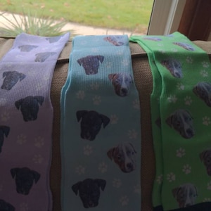 Custom Pet Socks, Put Your Cute Dog on Socks, Dog Lovers Gift, Funny ...