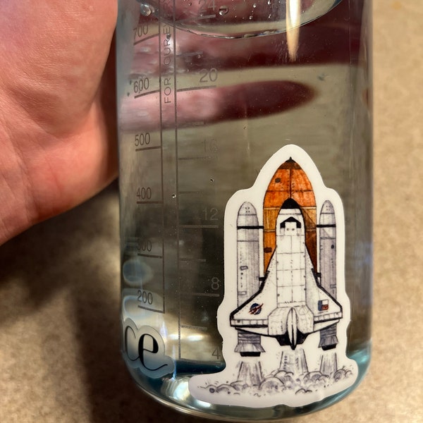 Grackle Sticker - Etsy