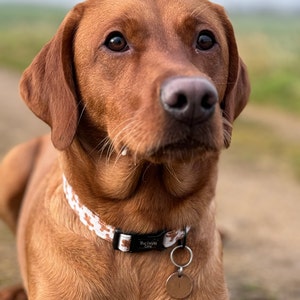 The Crafty Dog Co Can't Stop the Tealin' Rope Lead Teal - Etsy