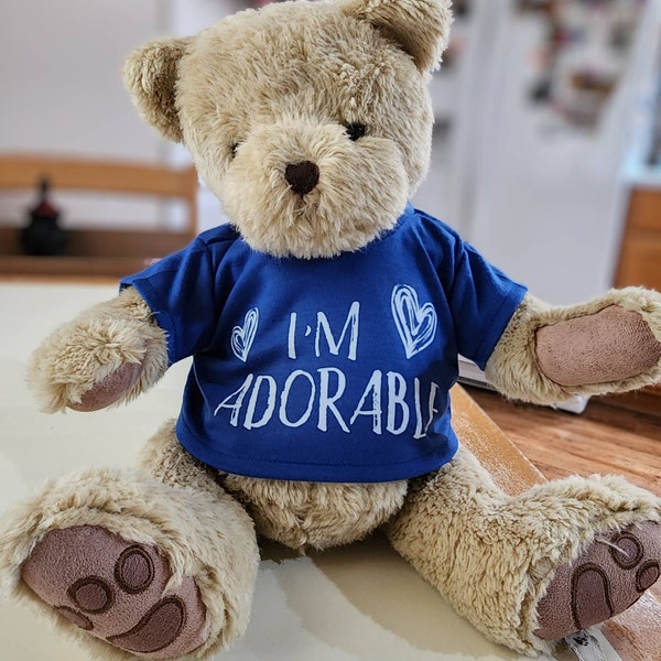 Music Teddy Bear | Personalized Multi-track MP3 Music Player | up to 30 ...