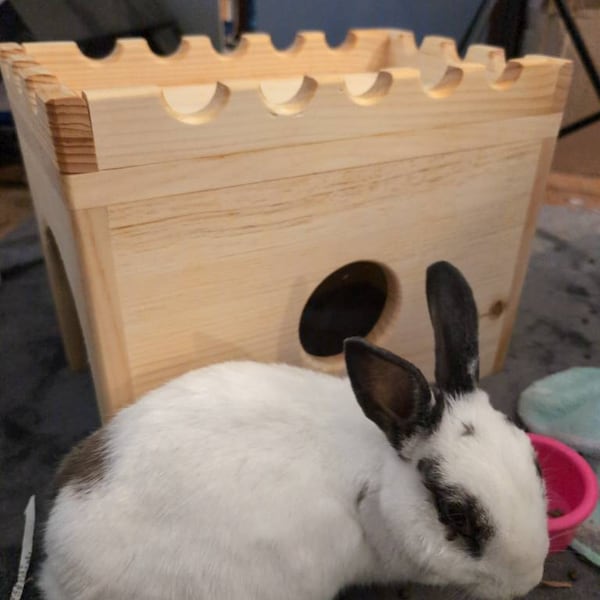 Rabbit Hay Feeder and Litter Box With Extended Walls / Small Animal Hay ...