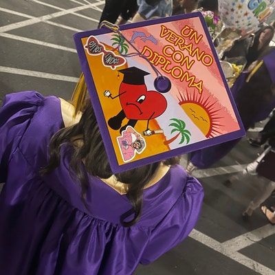 Bad Bunny Grad Cap Topper, Bad Bunny Un Verano Con Diploma, Bad Bunny ...