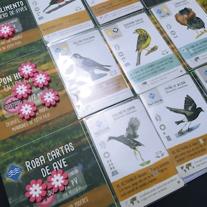 Wingspan Resource Tokens NEW Nectar Tokens Available - Etsy