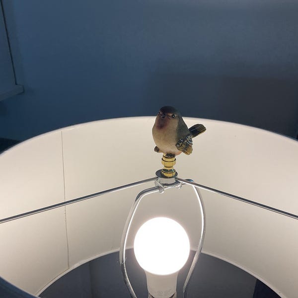 Blue With Black Porcelain Blue Jay Bird Electric Lighting Lamp Shade ...