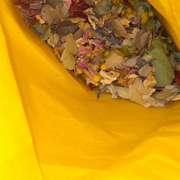 Biodegradable Confetti, Wedding Confetti, Petal Confetti , Flower ...