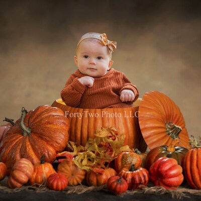 Digital Background Backdrop Newborn Baby Sitter Toddler Pumpkin Fall ...