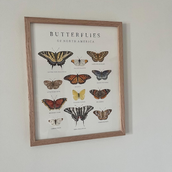 Backyard Birds of North America Watercolor Print | Nature Chart | Bird ...