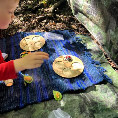 Frog, Primary, EYFS, Invertebrate Magnifier, Identification, 30dayswild ...