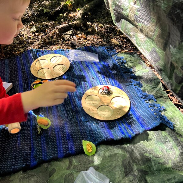 Portable Insect Bug Box Collection Box Parent-child Outdoor Forest ...