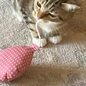 Personalised Catnip Fabric Birthday Balloon, Gotcha Day Gift, Cat ...