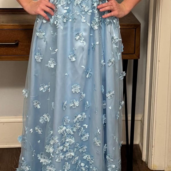 Daphne Regency-jurk cosplay kostuum - Etsy Nederland