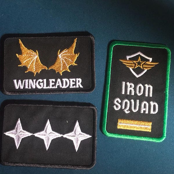Fourth Wing Embroidered Patch, Flight Jacket Cosplay Patches, Dragon ...