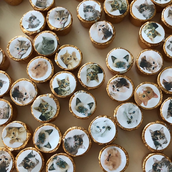 Cat Birthday, Kitty Party, Candy Labels, Kitten, Candy Stickers, Party ...