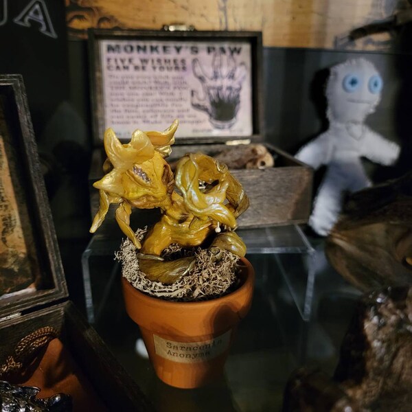 BIGFOOT SASQUATCH DISPLAY, Unique Cryptid Gift, Hairy Friend, Footprint ...