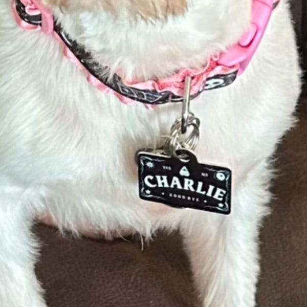 Witchy Pet ID Tag, Custom Personalized Dog or Cat Tags, Mystical Gothic ...