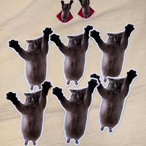 Frog Stickers Meme Stickers Man I Love Frogs Funny - Etsy