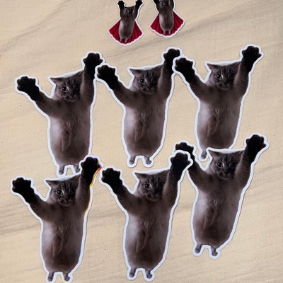 Frog Stickers Meme Stickers Man I Love Frogs Funny - Etsy