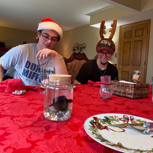 DNA Houseplant Trellis Simple Double Helix Lasercut Wooden Trellis ...