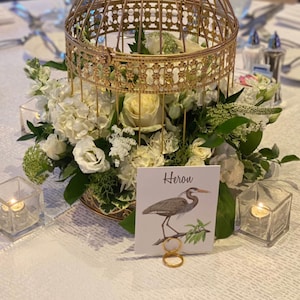 Cactus Table Numbers Desert Table Tents Cactus Table Cards - Etsy