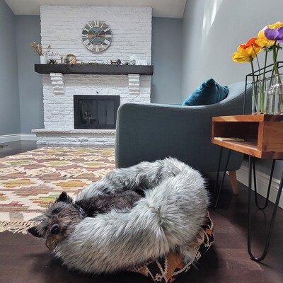 PRE-ORDER Teddy FLOOF for People Escape Den Cuddle Cave - Etsy