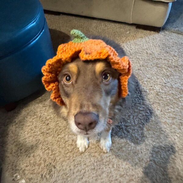 Santa Ruffle Dog Hat Crochet PATTERN - Etsy