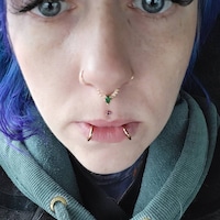 Double Septum Ring Septum Ring Nose Ring Sterling Silver Nose Hoop ...