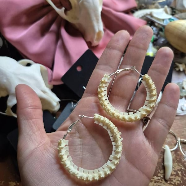 Real Snake Vertebrae Bones: Craft & Jewelry Supplies - Etsy