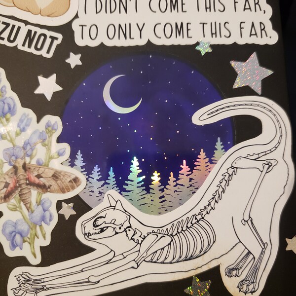 Animal Anatomy Stickers. Science Sticker Set. Dog, Cat & Rabbit. Skull ...