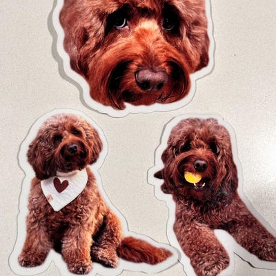 Dead Lift Sticker, Funny Vinyl Sticker, PREMIUM Quality, Laminated ...