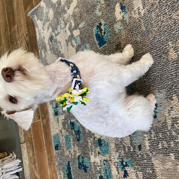 Dog Collar, Bee Dog Collar, Bumble Bee Dog Collar, Spring Dog Collar ...