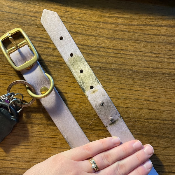 Two Classic Buckle Collars Package - Etsy