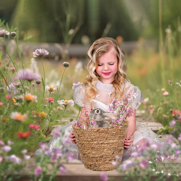 Australian Wildflower Backdrop Overlay, Spring Flower Backdrop, Summer ...