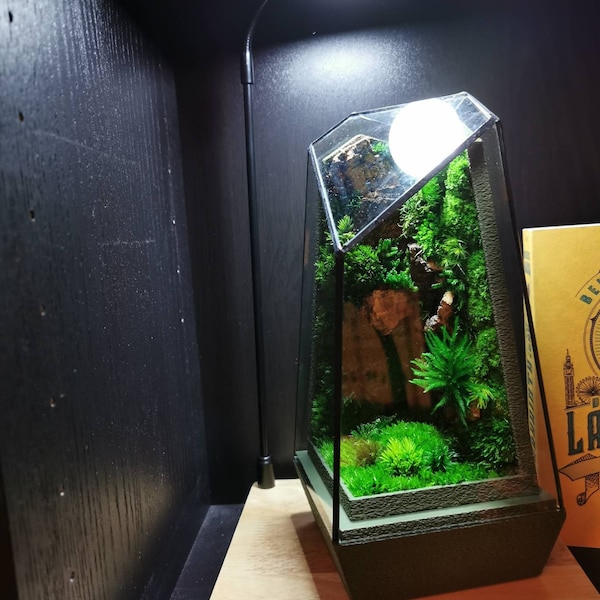 Preserved Lichen Terrarium: Ecocube S - Minimalist Glass Desk Decor by ...