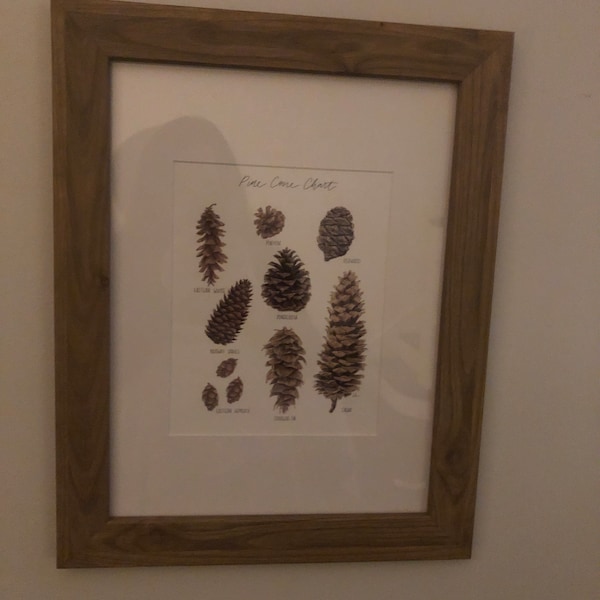Pine Cone Chart Print - Watercolor Pine Cones, Pine Cones, Nature Print ...