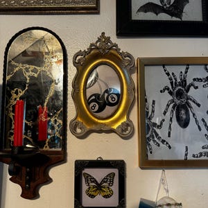 Baroque Gothic Artwork, Luna Moth Framed, Goth Black Witch Wall Display ...